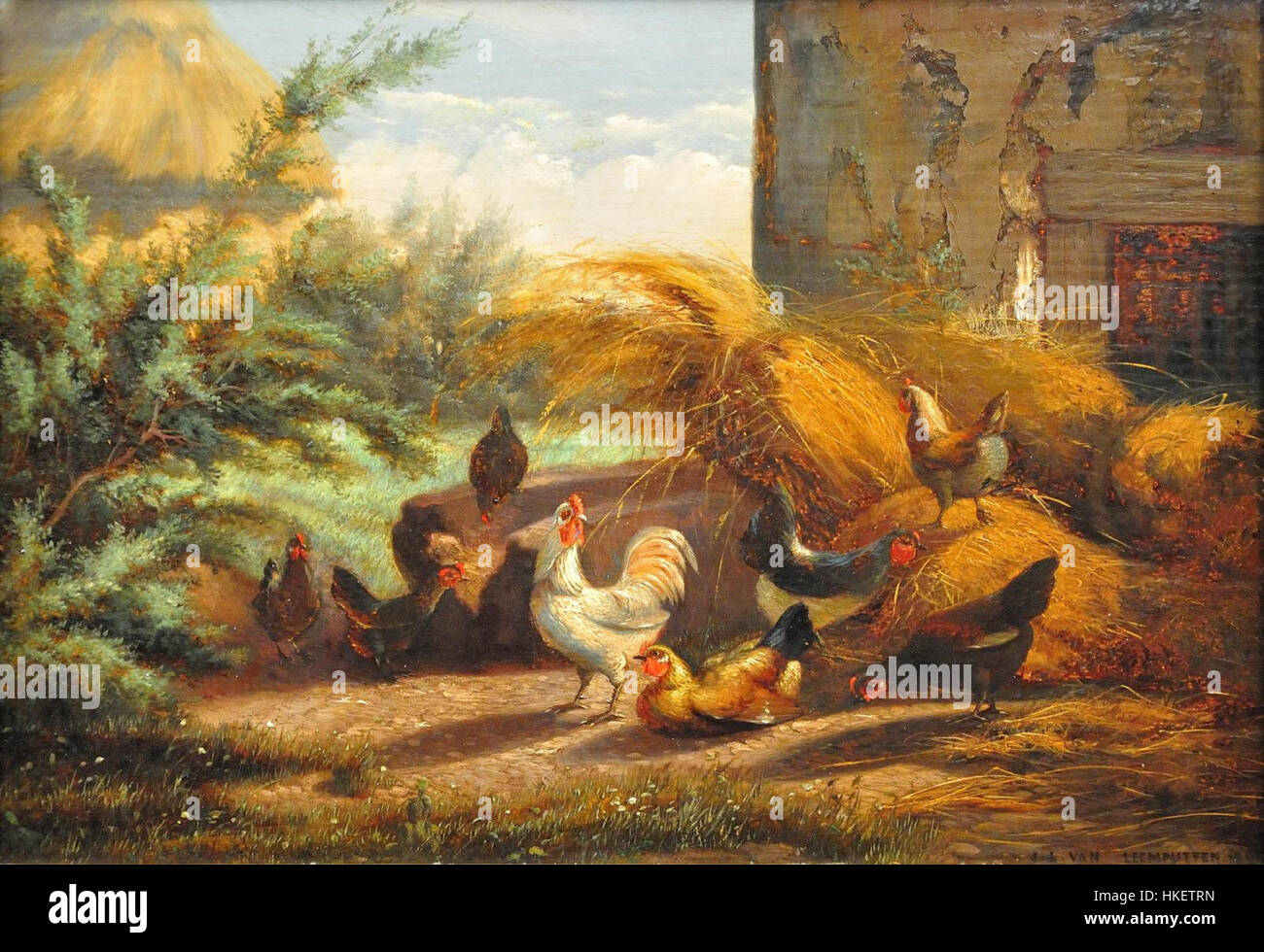 Poultry in a farmyard Stock Photo - Alamy