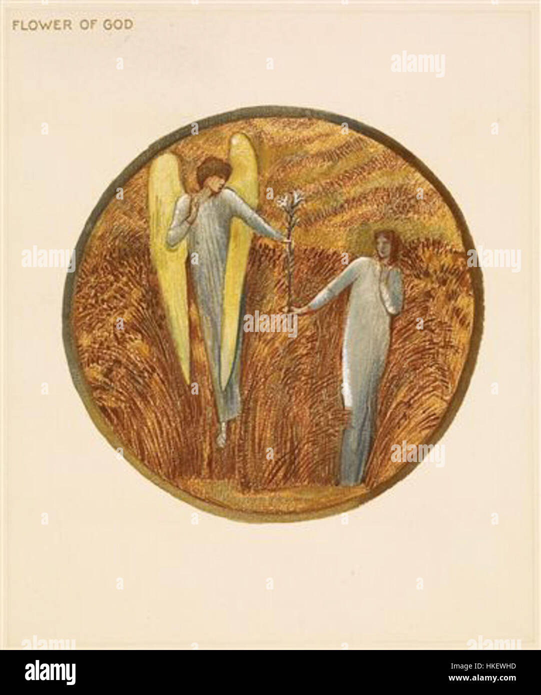 *The Flower Book: Flower of God* is a botanical art piece depicting ...