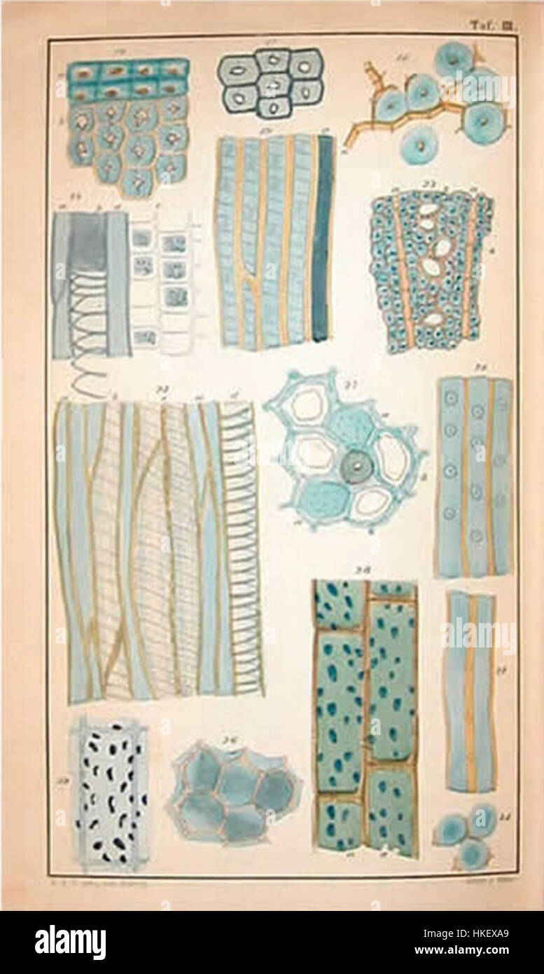 Chemistry illustration 1800s hi-res stock photography and images - Alamy