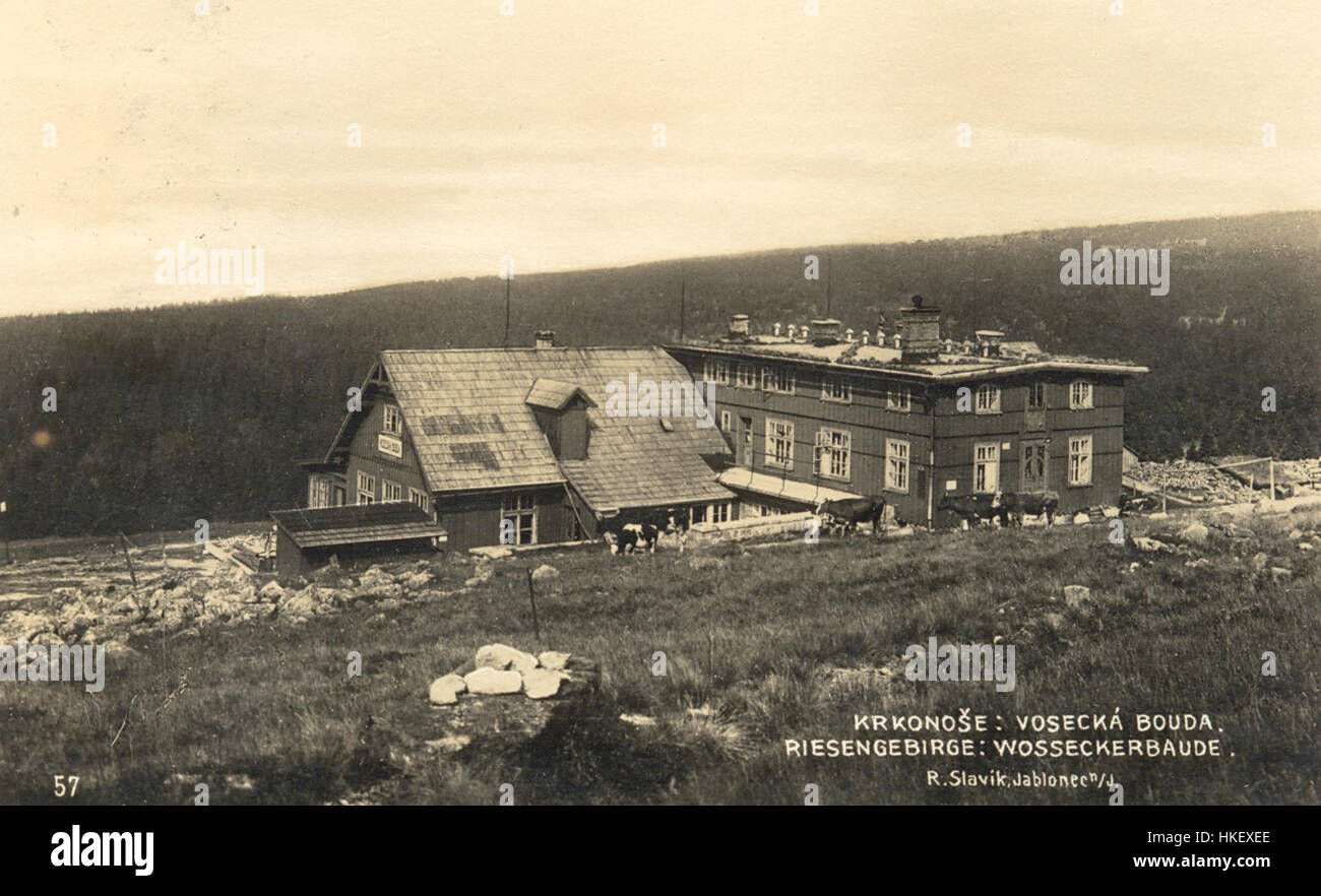 Vosecka hi-res stock photography and images - Alamy