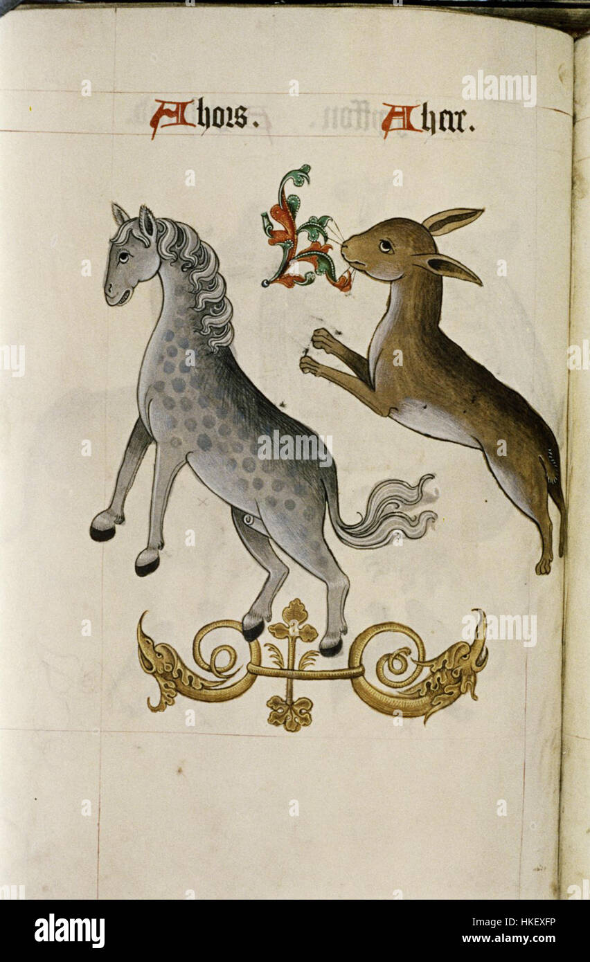 'The Tudor Pattern Book MS. Ashmole 1504 66' is a 16th-century ...