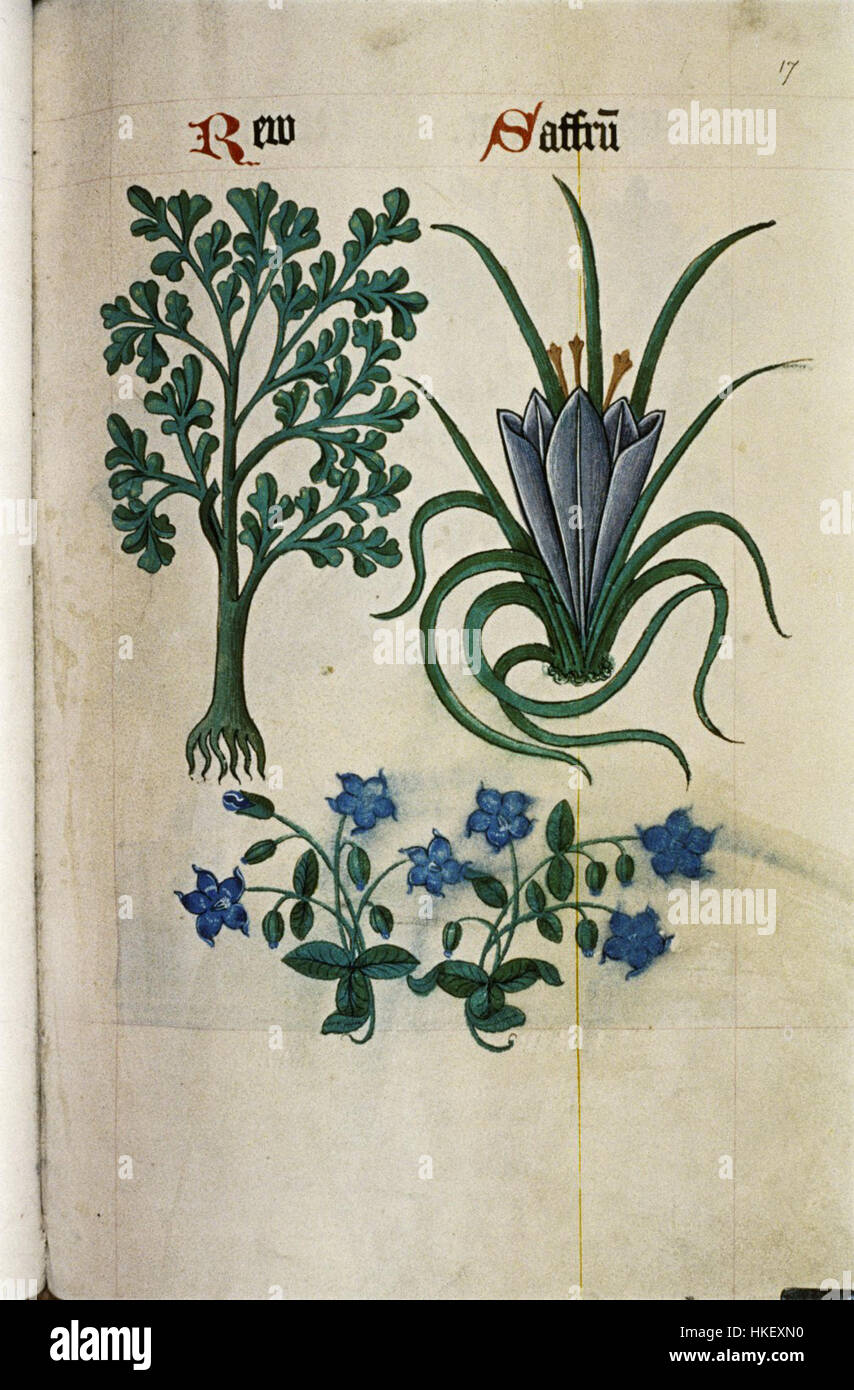 The Tudor Pattern Book, MS Ashmole 1504, includes a variety of designs ...