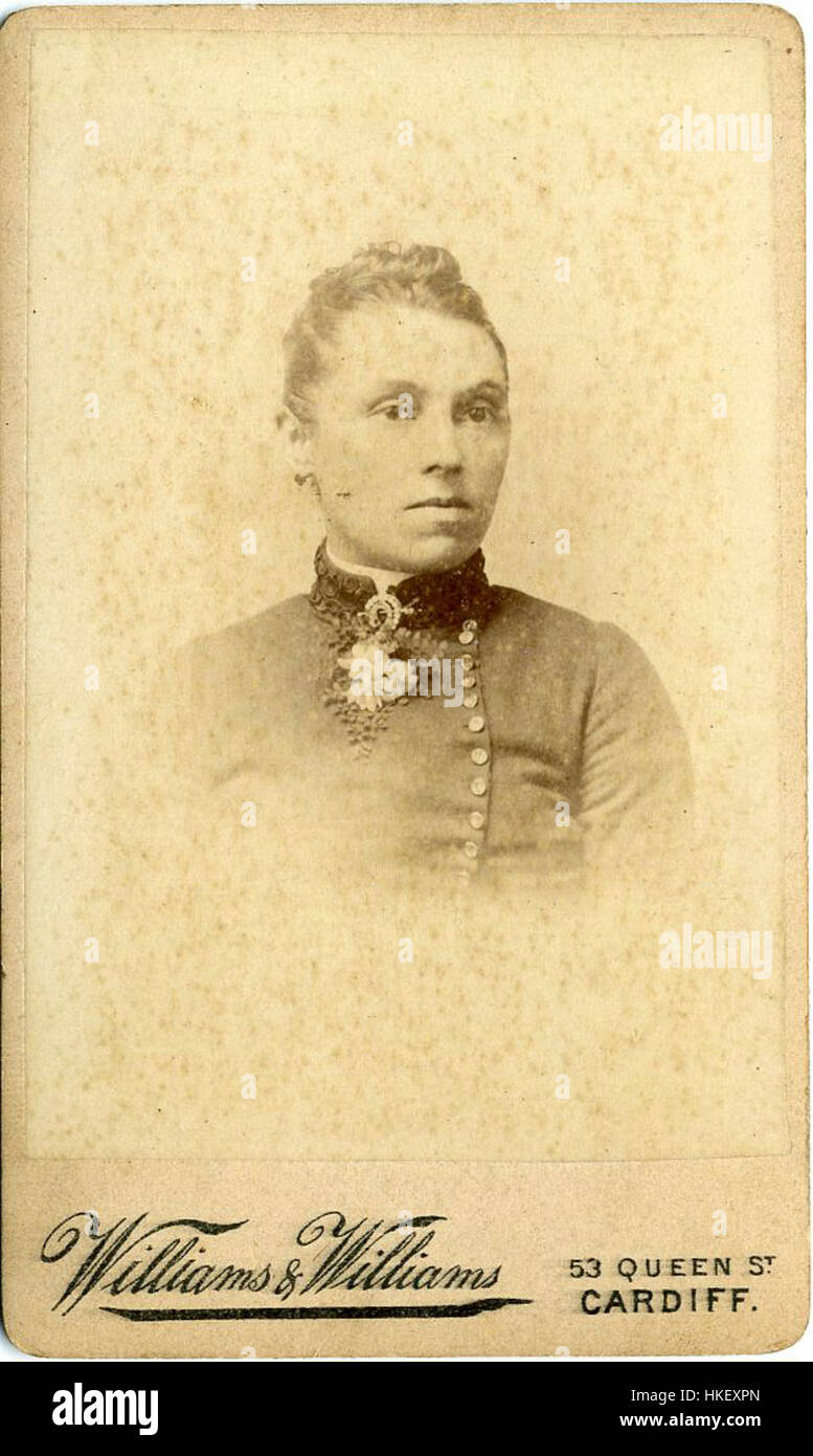 This artwork, 'Williams and Williams of Cardiff 016', portrays the ...