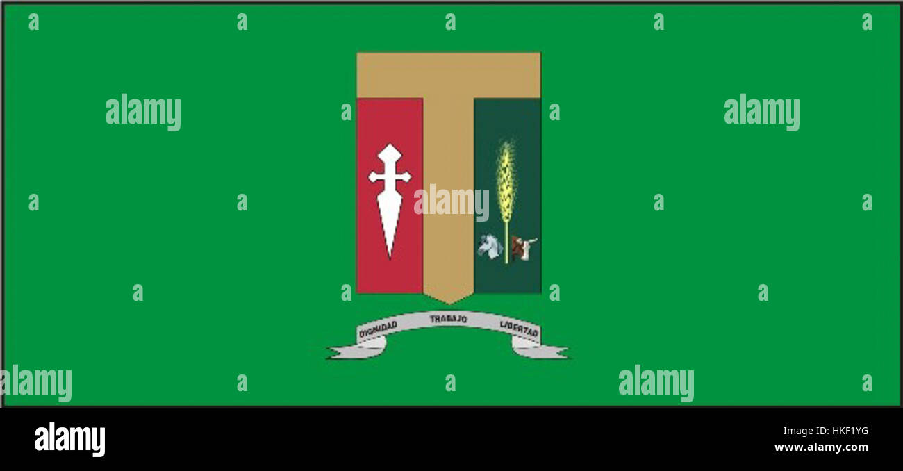 This artwork represents the traditional Mexican 'Bandera Tenjo' flag ...