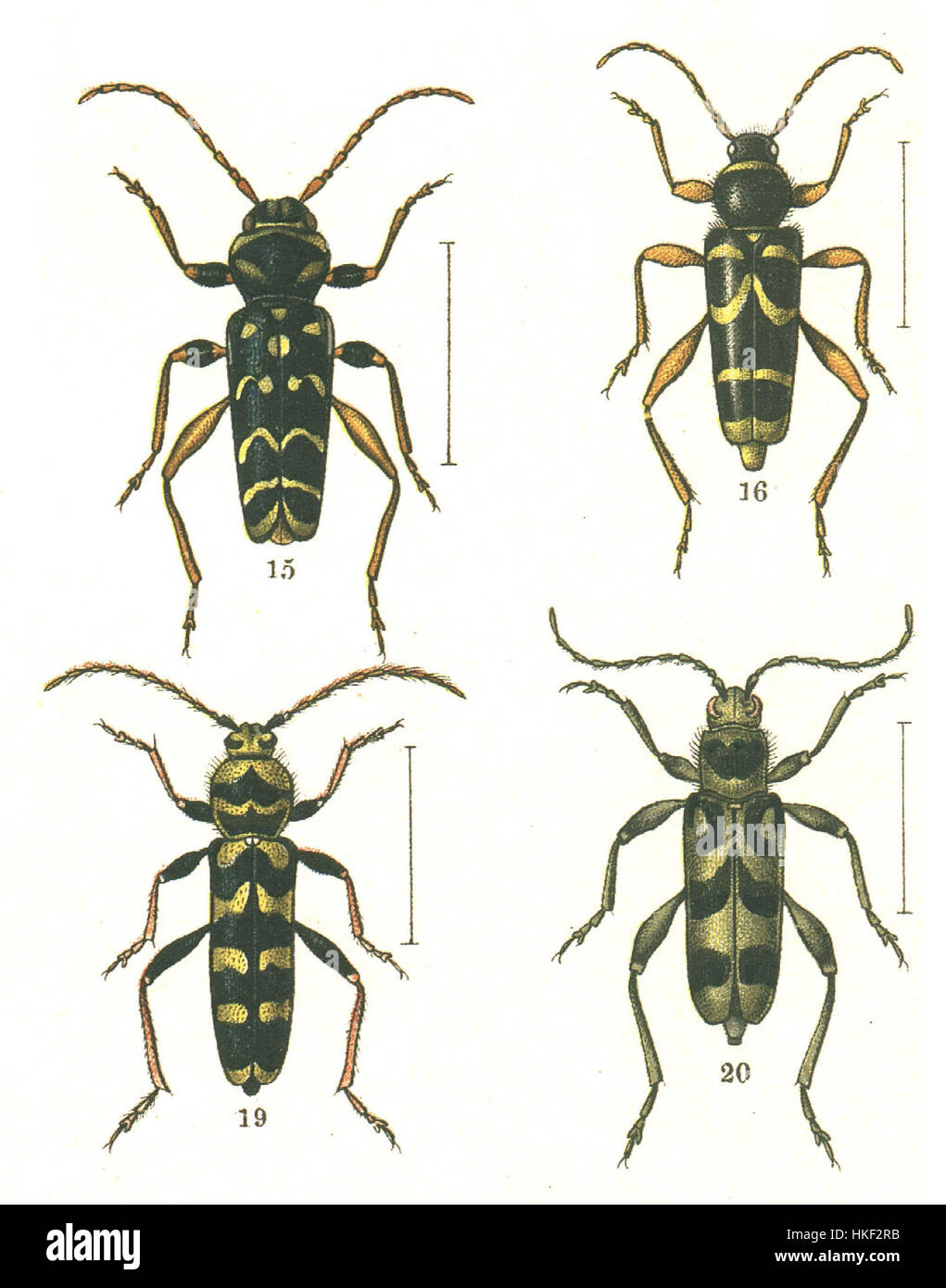 Dynamic interplay shapes colors Cut Out Stock Images & Pictures - Alamy