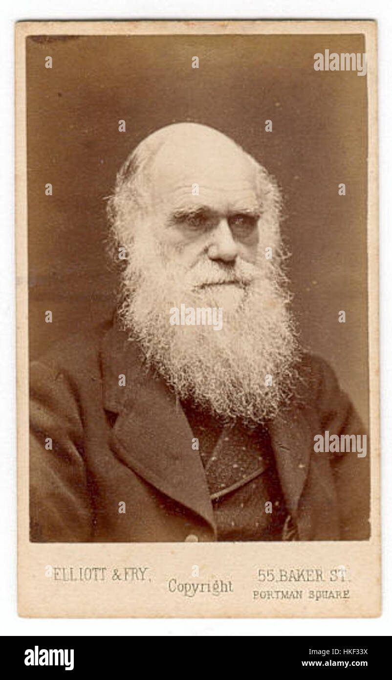 The portrait of Charles Darwin, captured by the photographer Elliott ...
