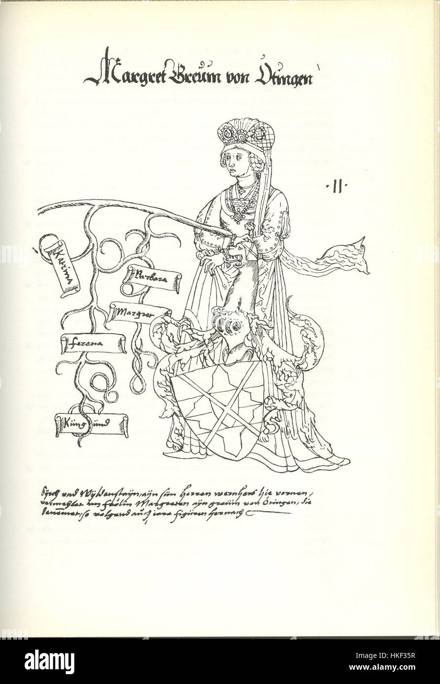 Codex 593a by Johann Werner2 is an intricate manuscript showcasing the ...