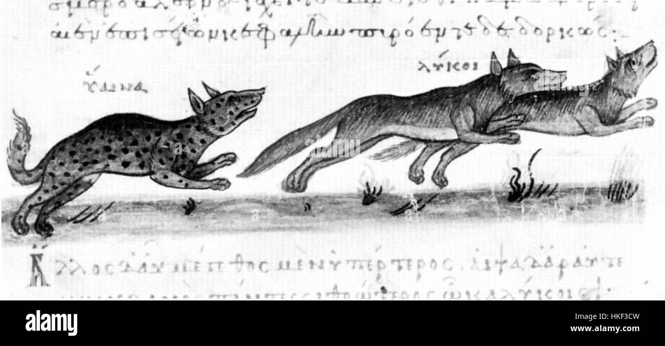 Fol 48v hi-res stock photography and images - Alamy