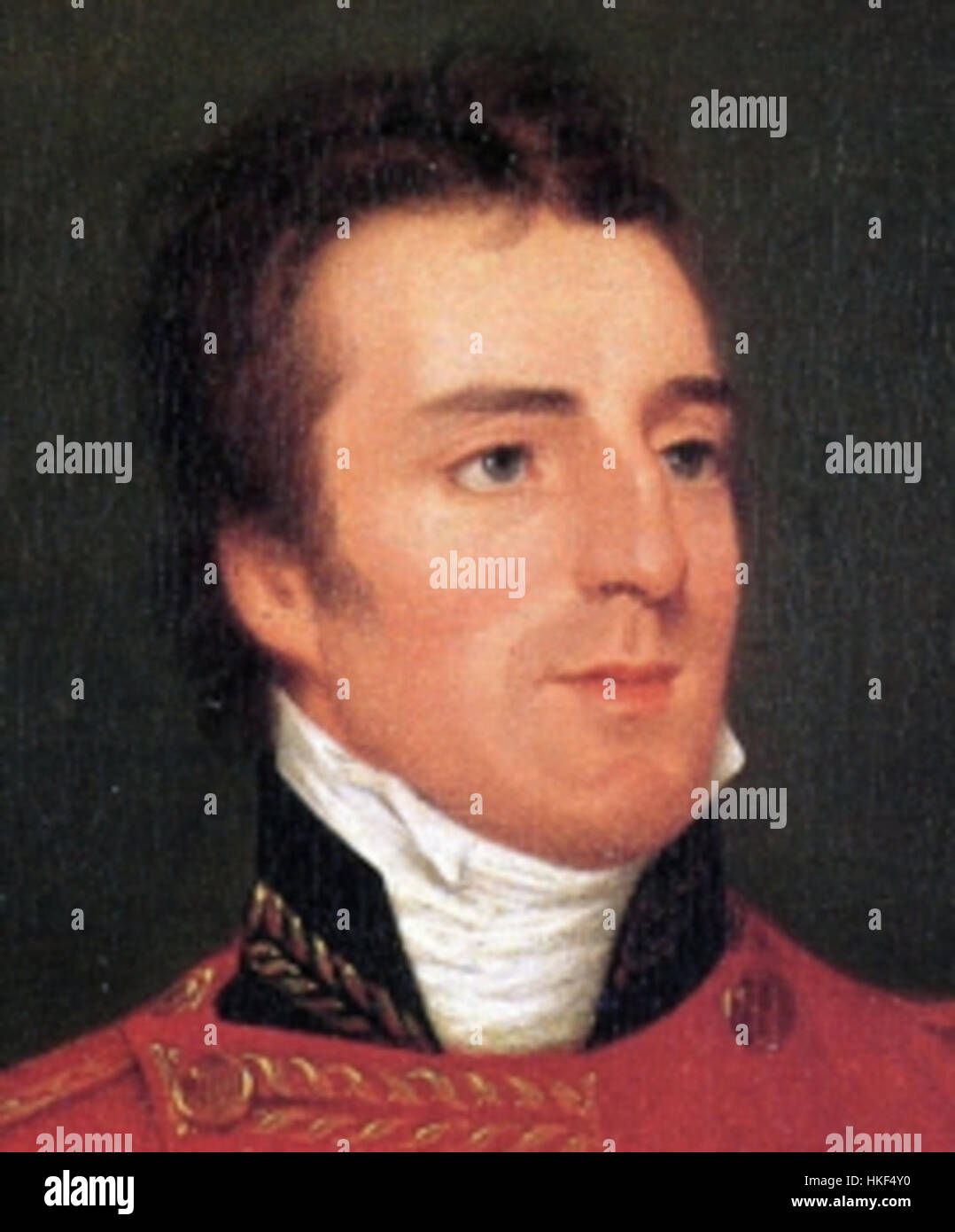 This portrait depicts Field Marshal Arthur Wellesley, the 1st Duke of ...
