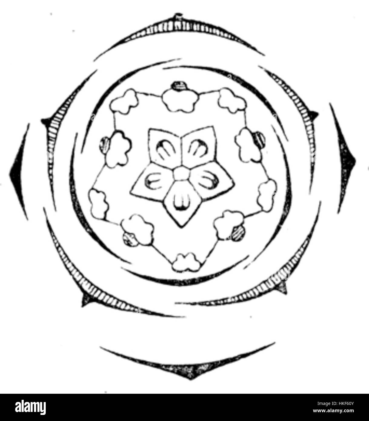 This botanical illustration of *Geranium pratense*, commonly known as ...