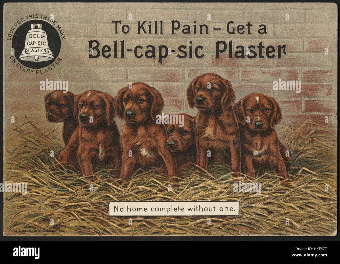 To kill pain - get a Bell-cap-sic Plaster - no home complete without ...