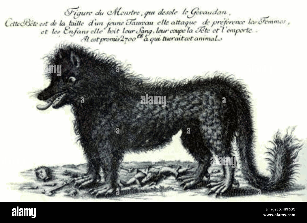 This painting depicts the infamous Gevaudan Monster, a mysterious and ...