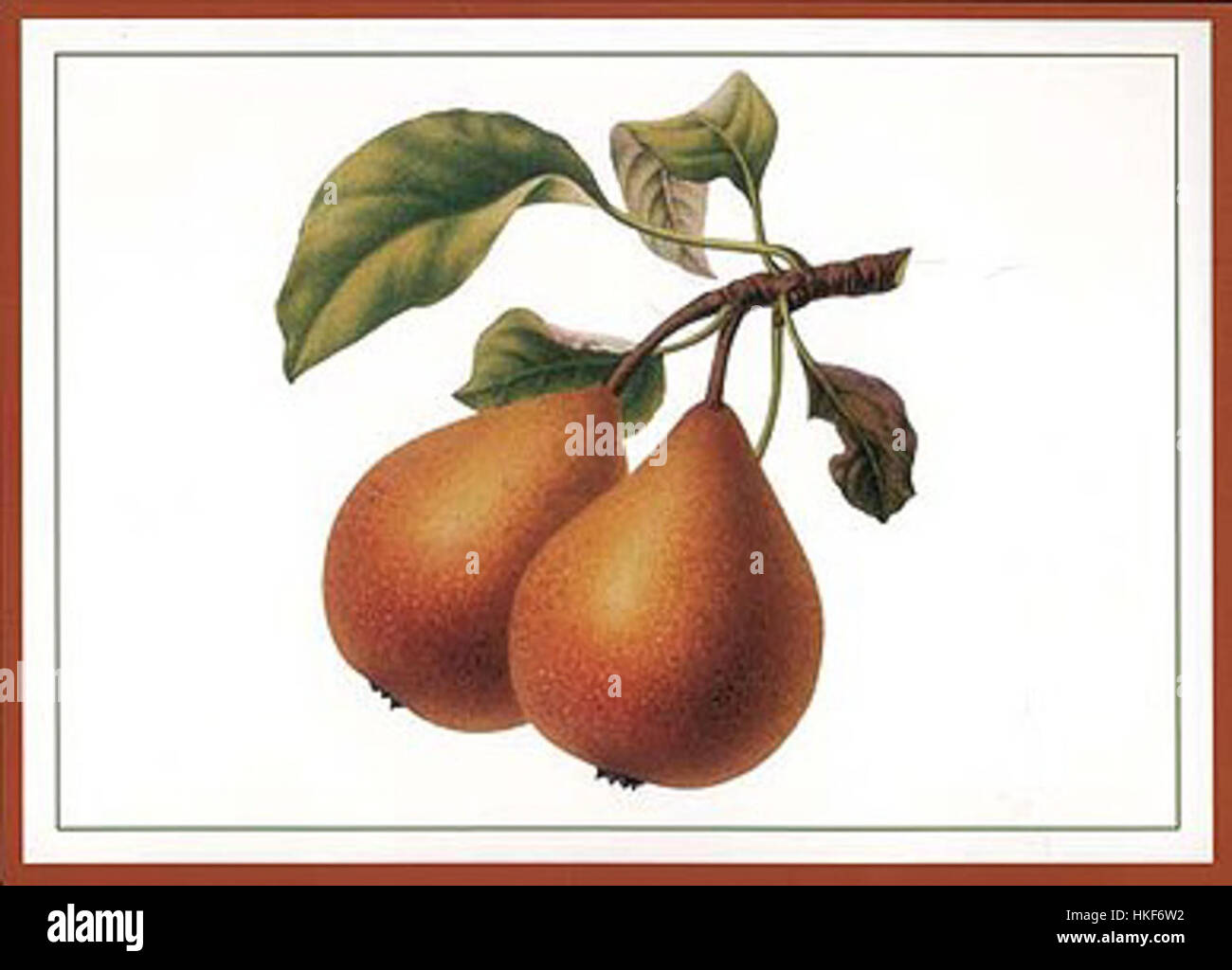 Pears art hi-res stock photography and images - Alamy