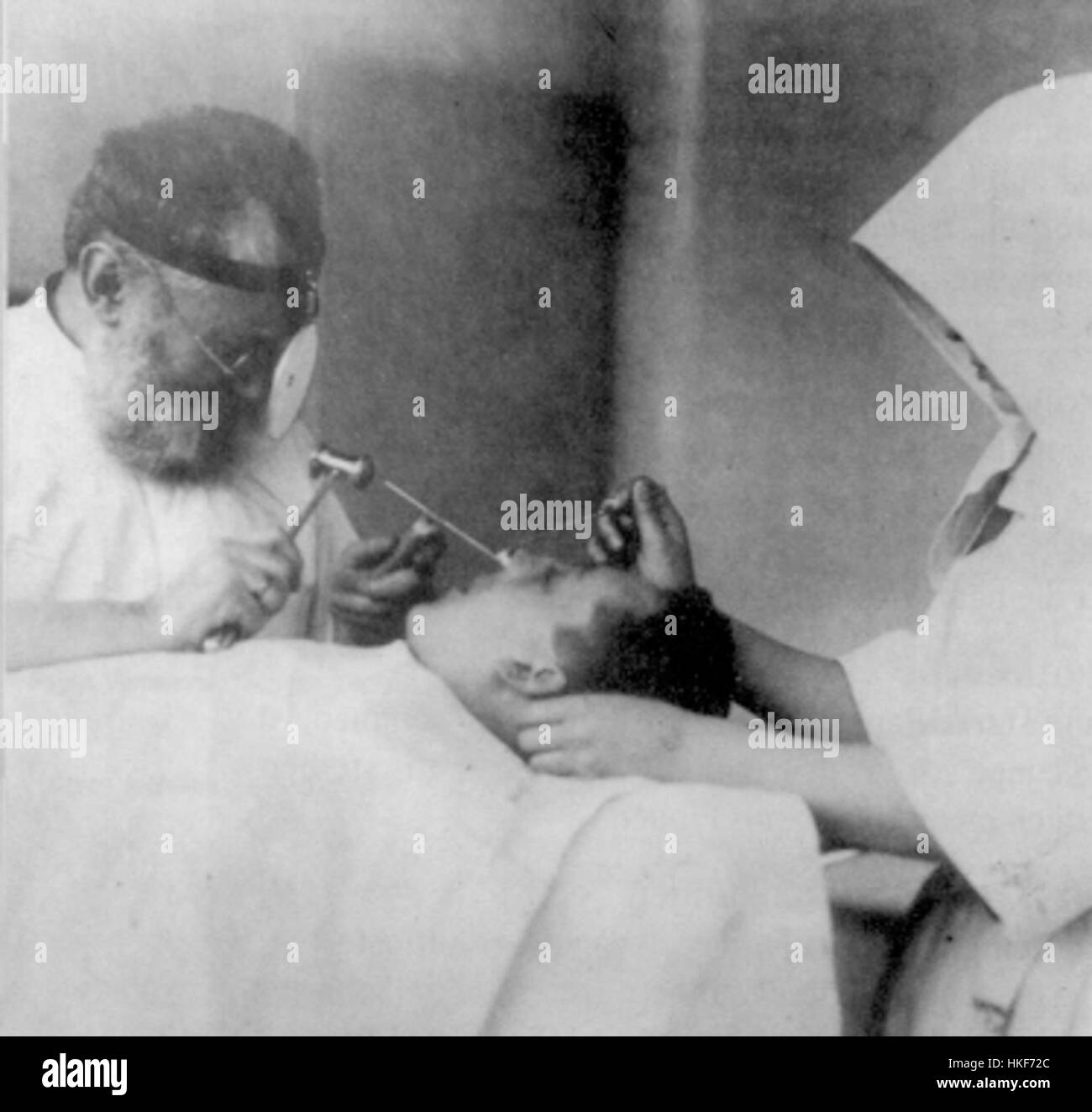 Heermann hi-res stock photography and images - Alamy