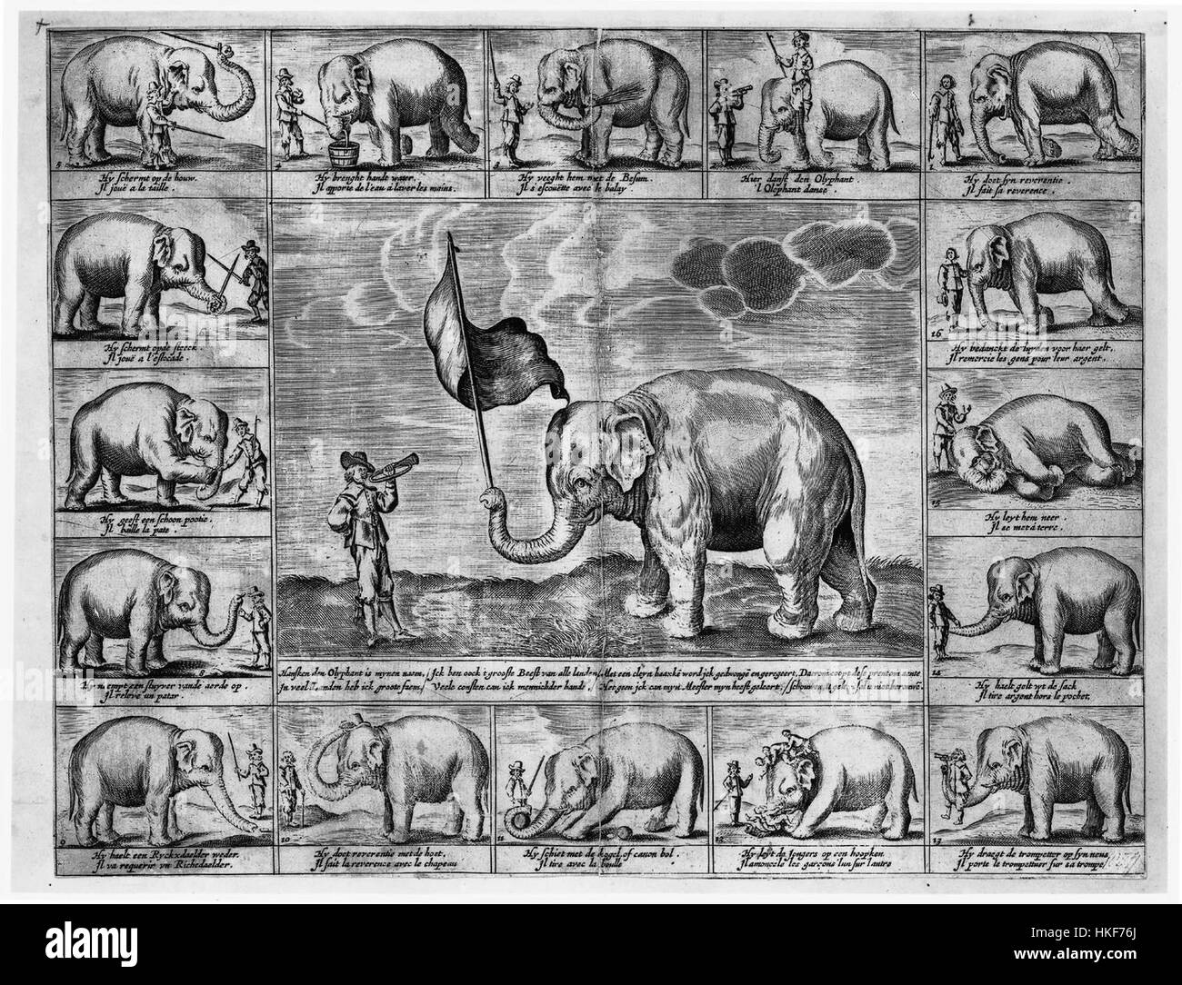 This painting of Hansken, a famous elephant, showcases the animal’s ...