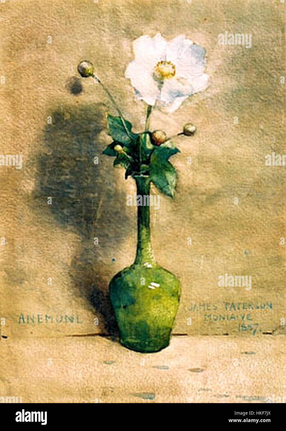 *Anenome* (1887) by James Paterson depicts a still-life arrangement ...
