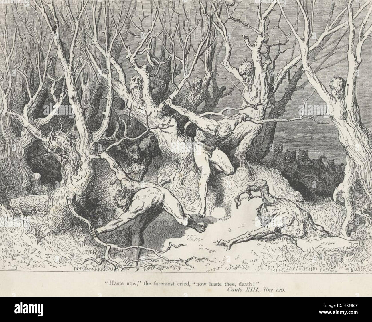 Inferno Canto 13 verse 120 Stock Photo - Alamy
