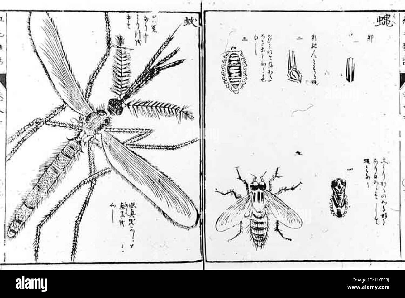 *Komo Zatsu Dan Insects* is a traditional Japanese artwork illustrating ...