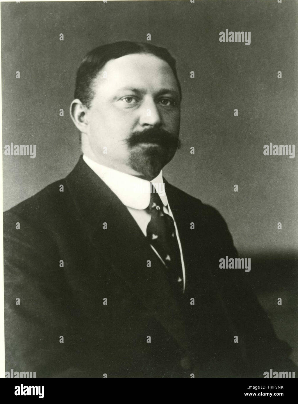 A work by Klaas van Sevenhoven, an artist known for his detailed ...