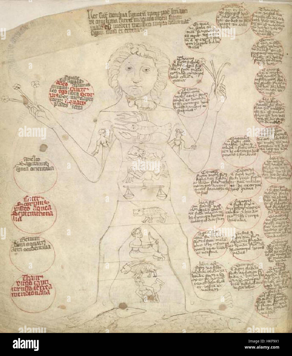 Medical astrology hi-res stock photography and images - Alamy