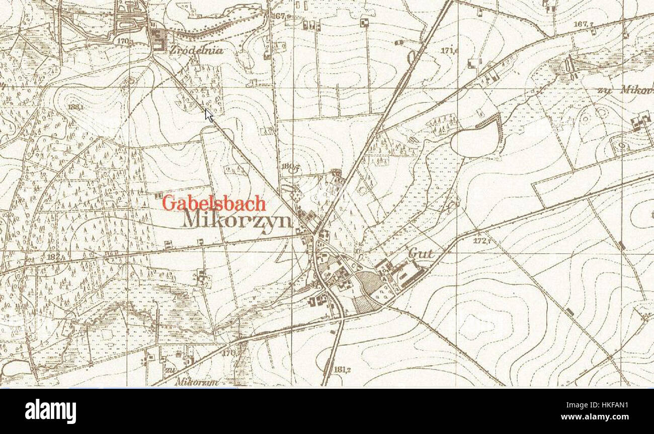 A historical map from Mikorzyn, showcasing geographical and territorial ...