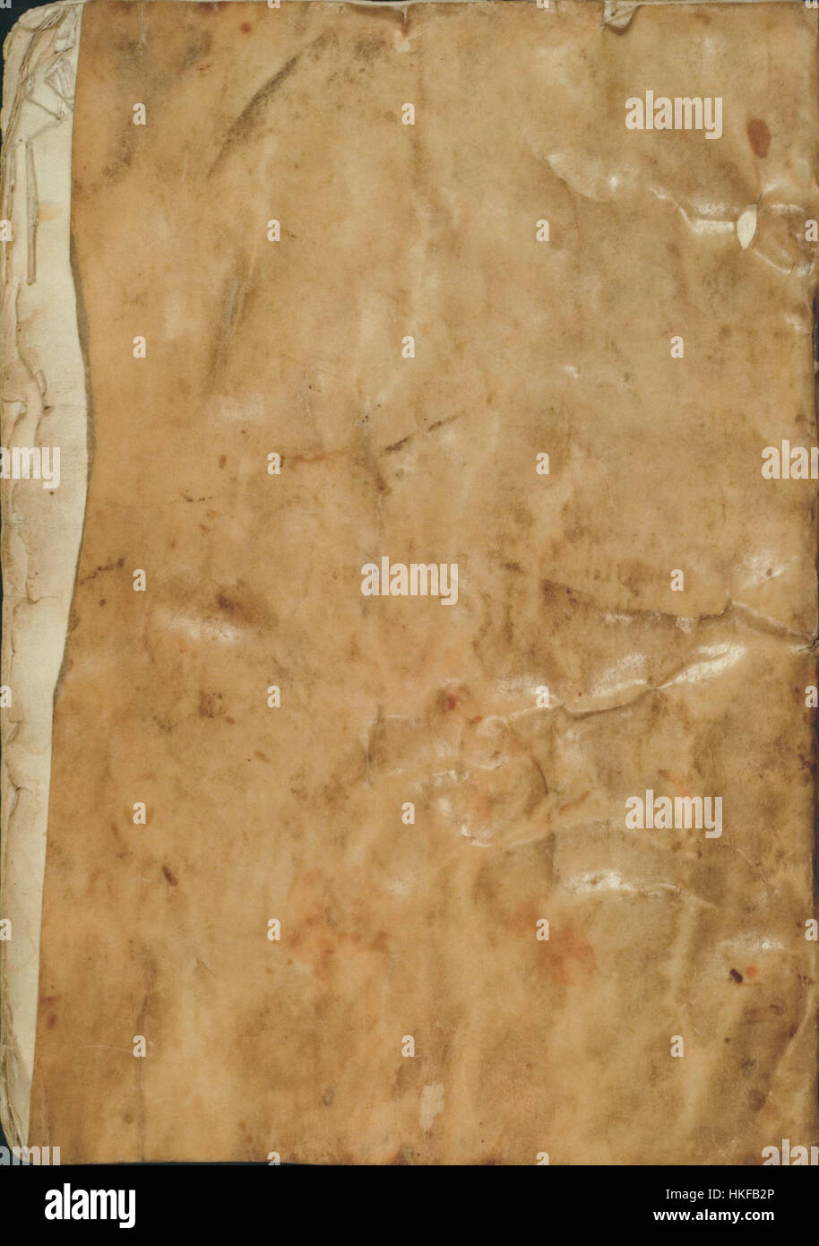 The manuscript Ms. XIX.17 3 Cover 4 is a medieval codex that showcases ...