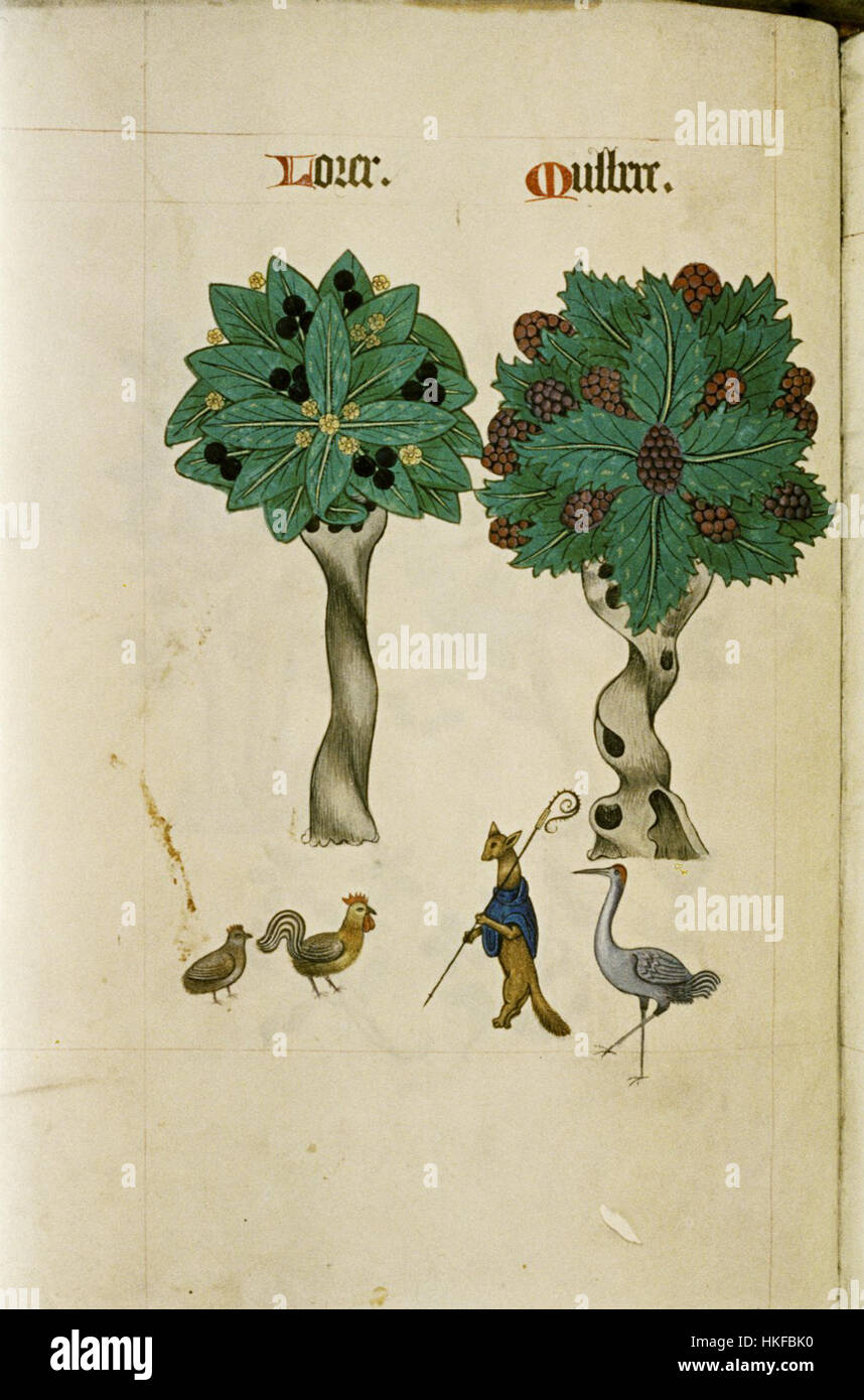 The Tudor pattern book, MS. Ashmole 1504 41, contains detailed designs ...