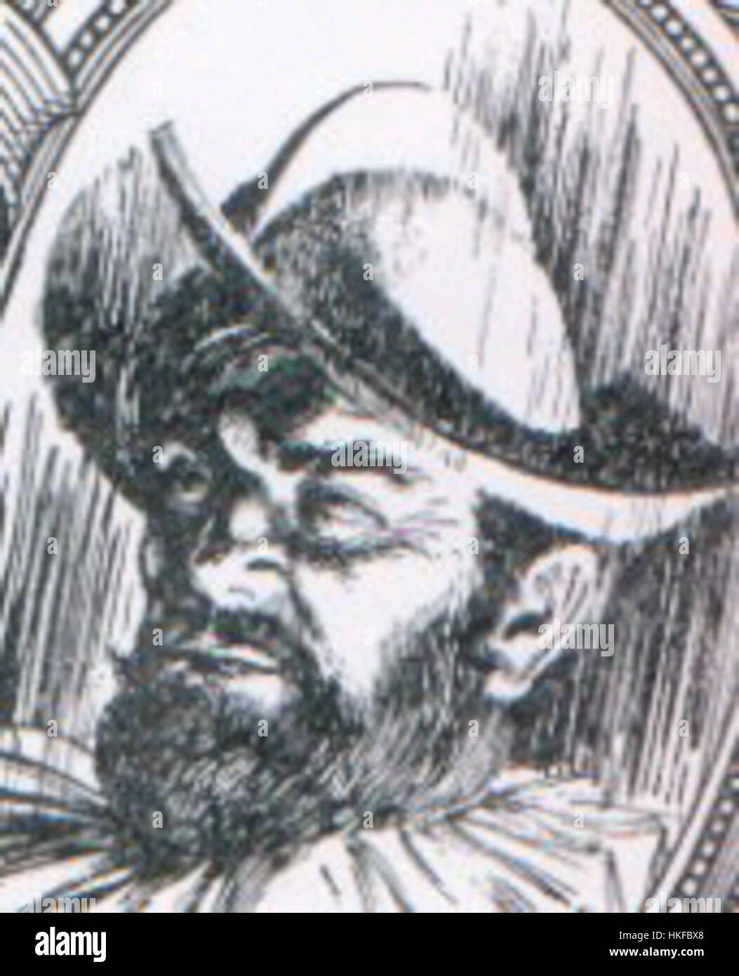 Panfilo de Narvaez was a Spanish explorer and military leader in the ...