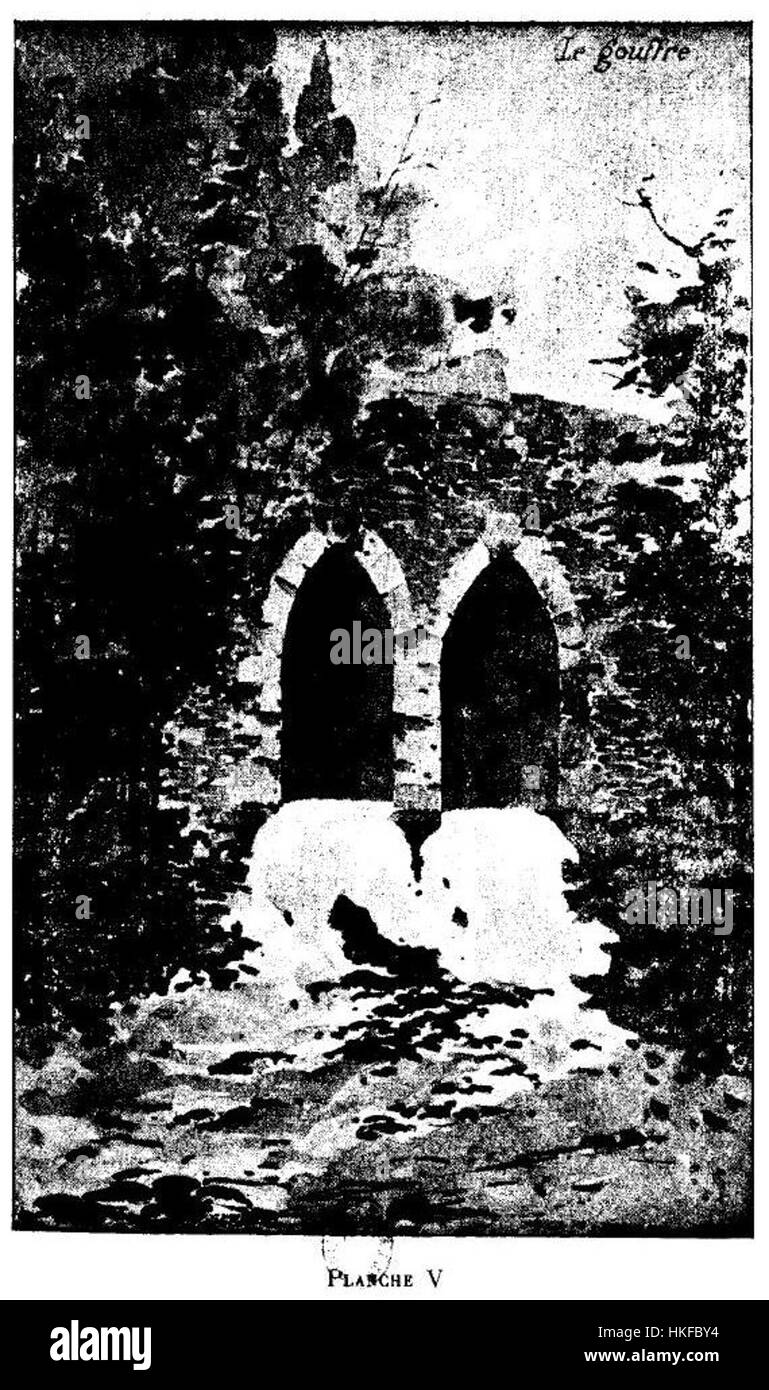 This page, labeled Planche V, contains detailed illustrations or ...