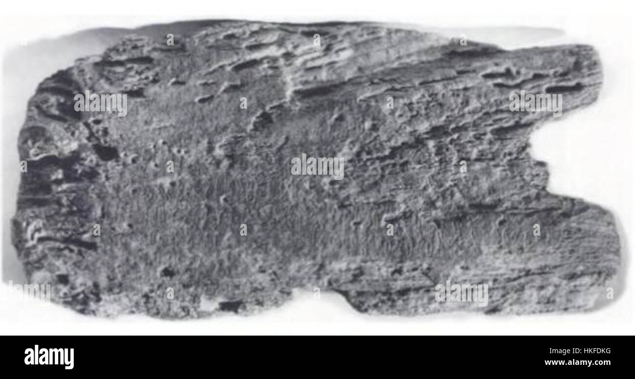 Rongorongo is an undeciphered script from Easter Island, believed to be ...