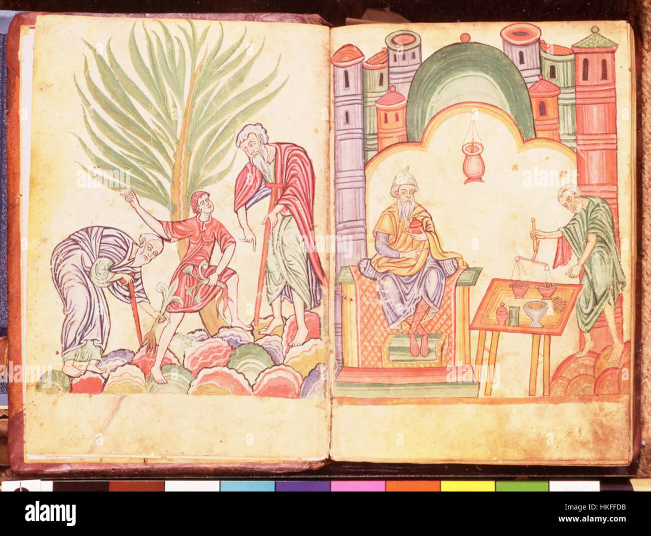 This 12th-century manuscript illustration from Apuleius Dioscorides ...