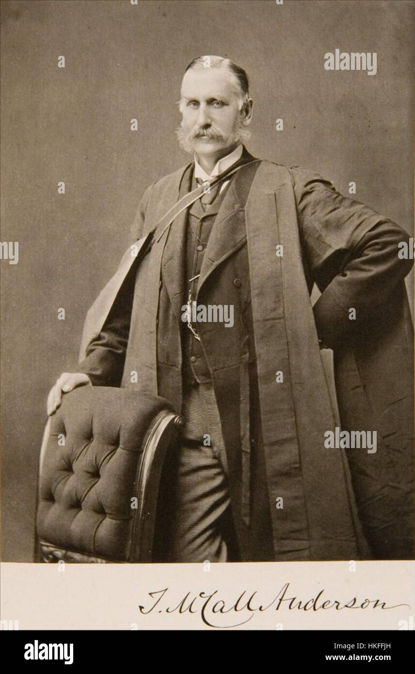 Thomas McCall Anderson's painting exemplifies 19th-century American art ...