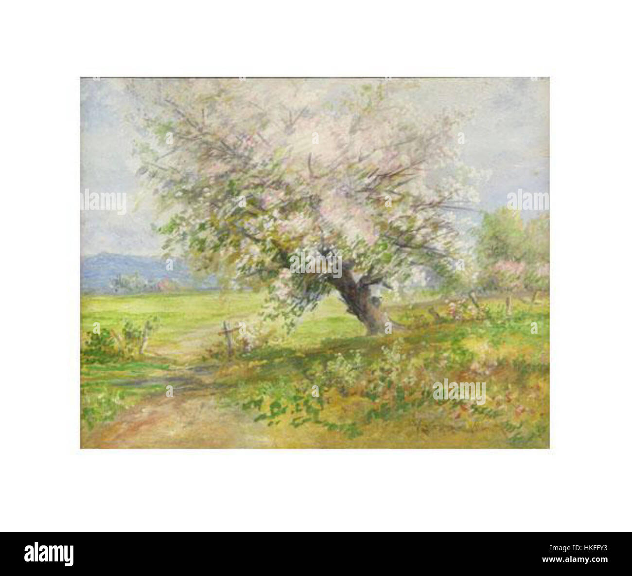 Details captures Cut Out Stock Images & Pictures - Alamy