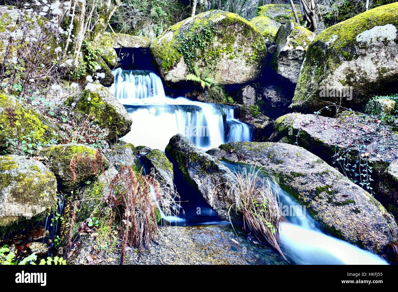waterfall, river, water, forest, stream Stock Photo - Alamy