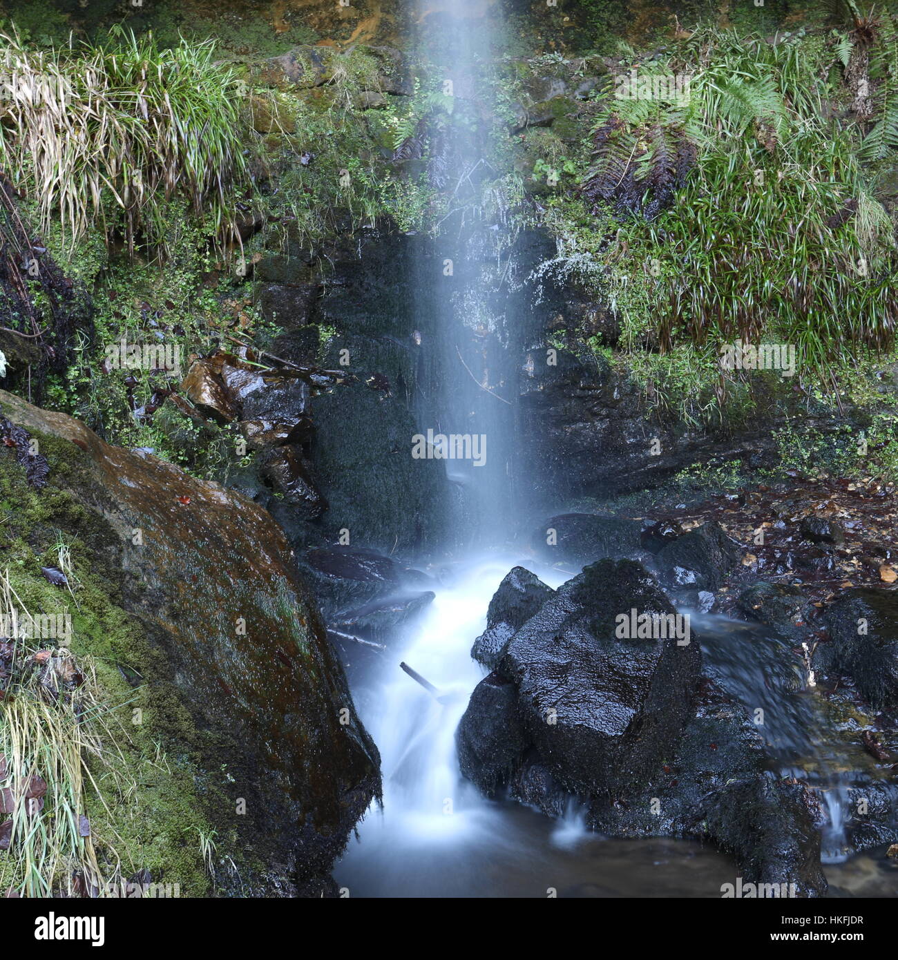 Scotland maspie den hi-res stock photography and images - Alamy