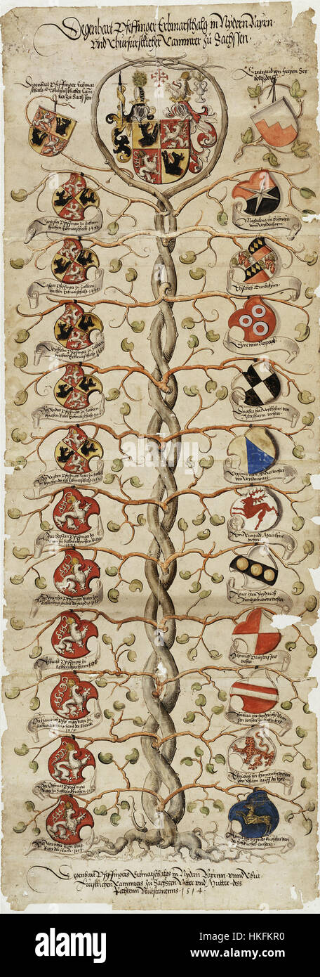 This genealogical tree, titled 'Stammbaum der Pfaffinger,' traces the ...