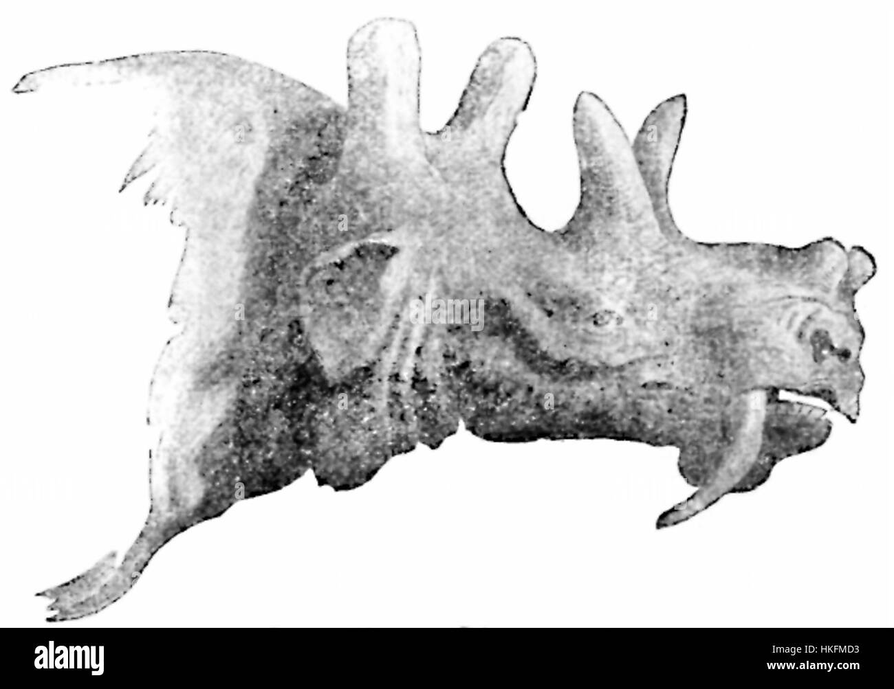 This artwork depicts a *Dinoceros*, an extinct prehistoric animal ...