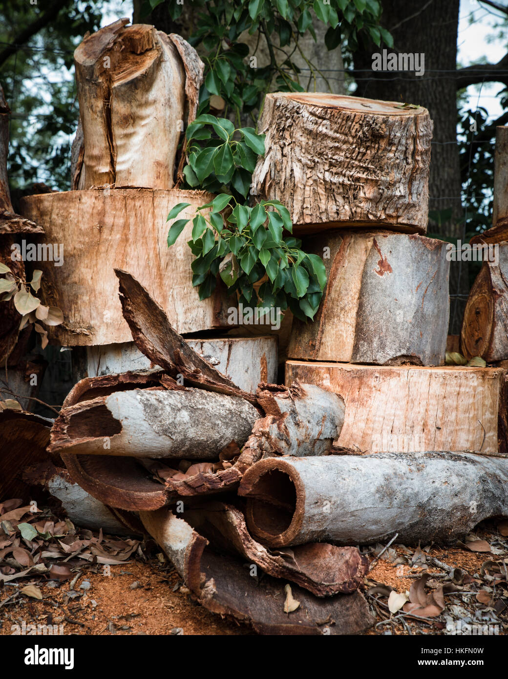 Timber bush hi-res stock photography and images - Alamy