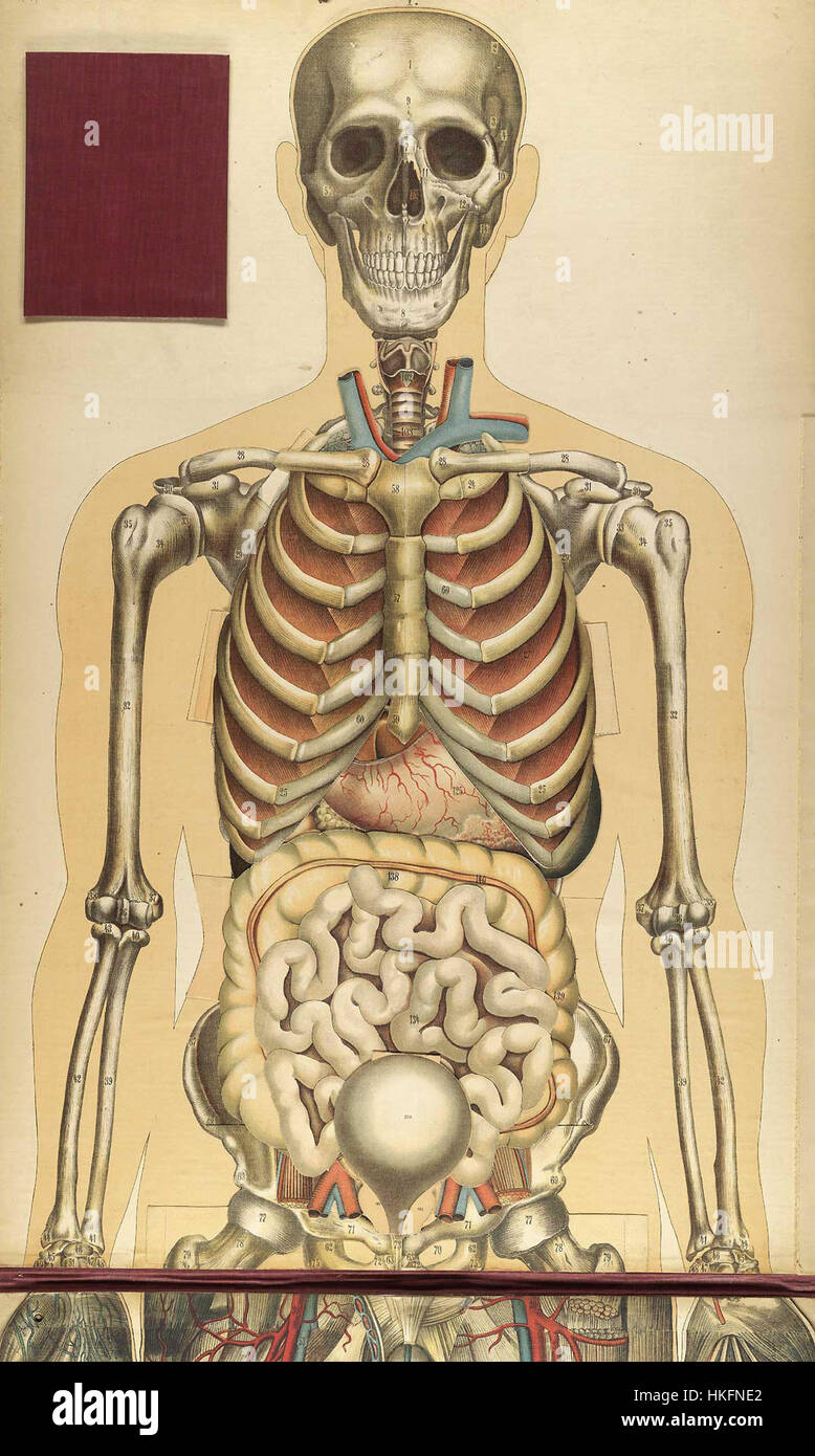 Bougle top03 is an artwork that showcases the artistic technique and ...