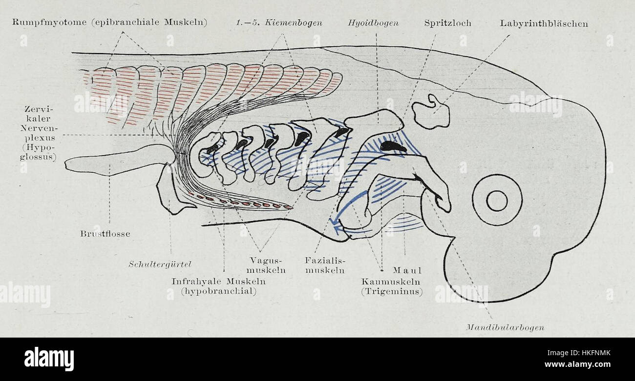 321 museum hi-res stock photography and images - Alamy