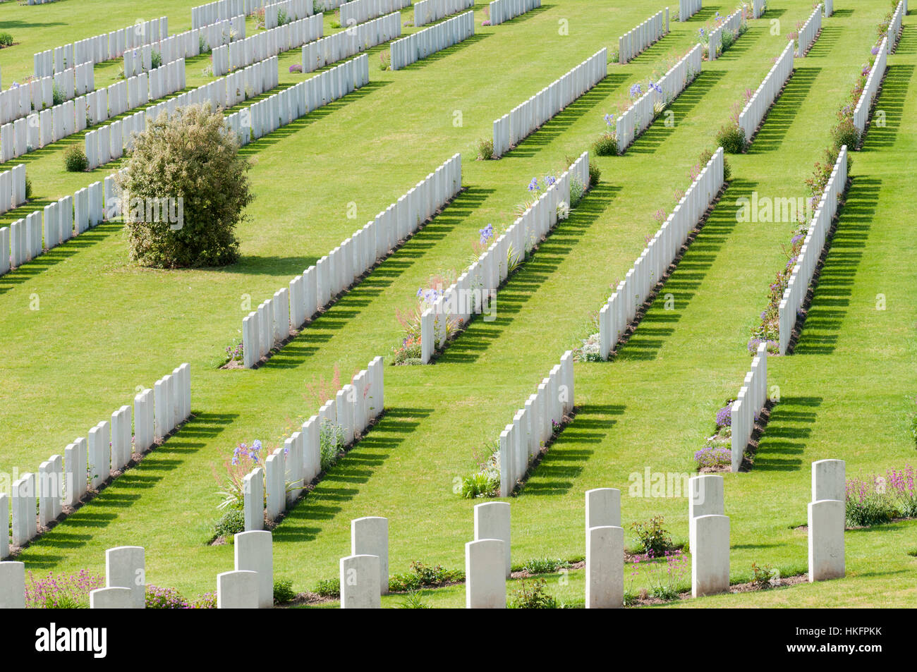 Rows of graves in the Etaples WW1 military cemetery Stock Photo - Alamy