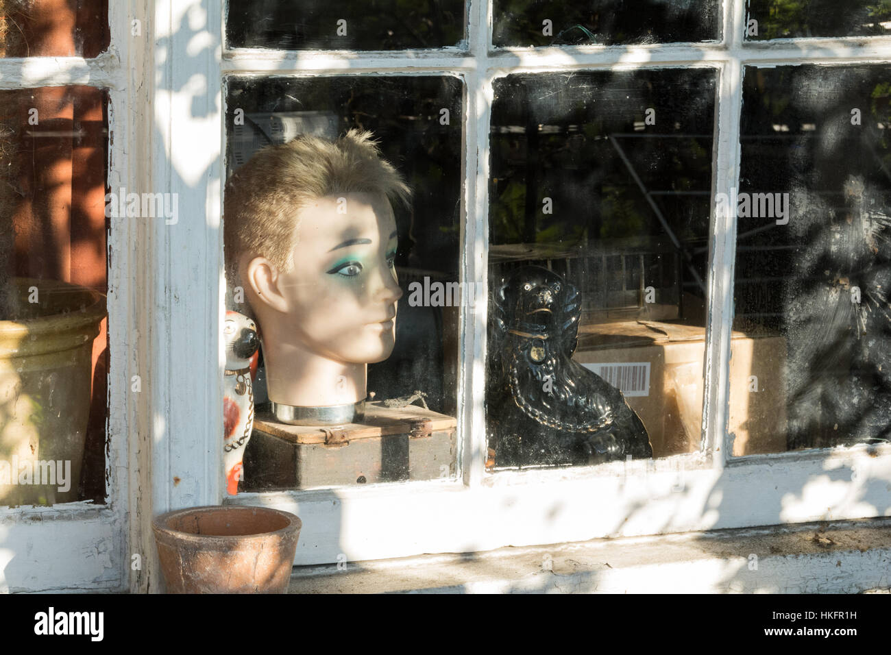 A mannequin's face staring out from a window Stock Photo - Alamy
