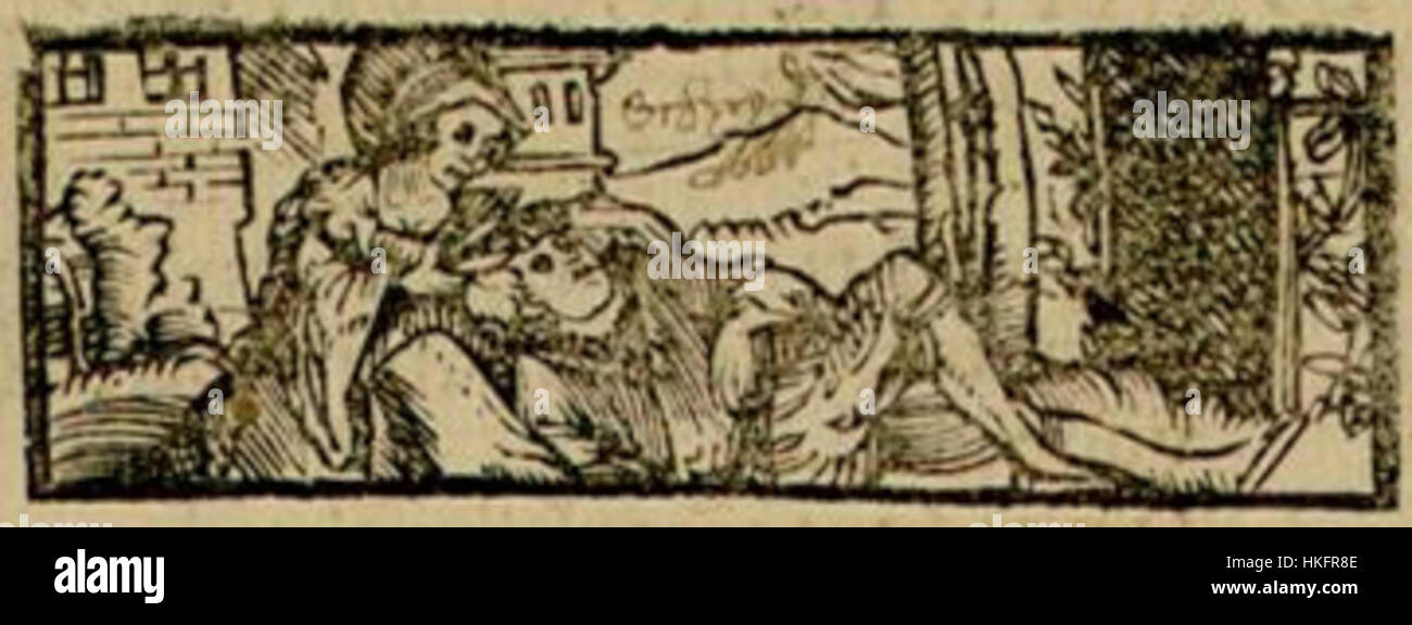 Canidie hi-res stock photography and images - Alamy