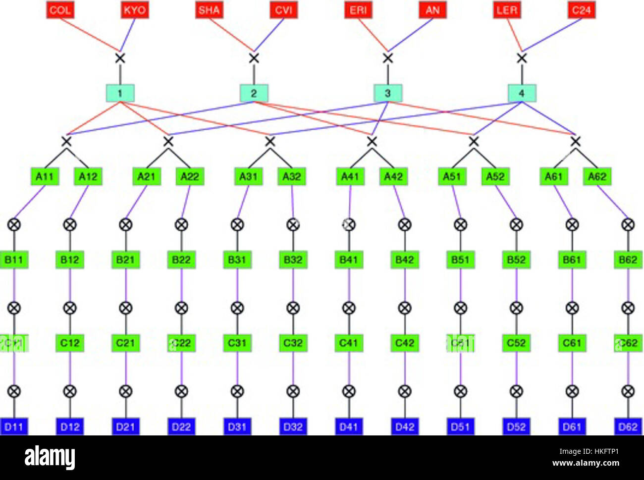 'Dialel' is a vintage artwork characterized by its fine craftsmanship ...