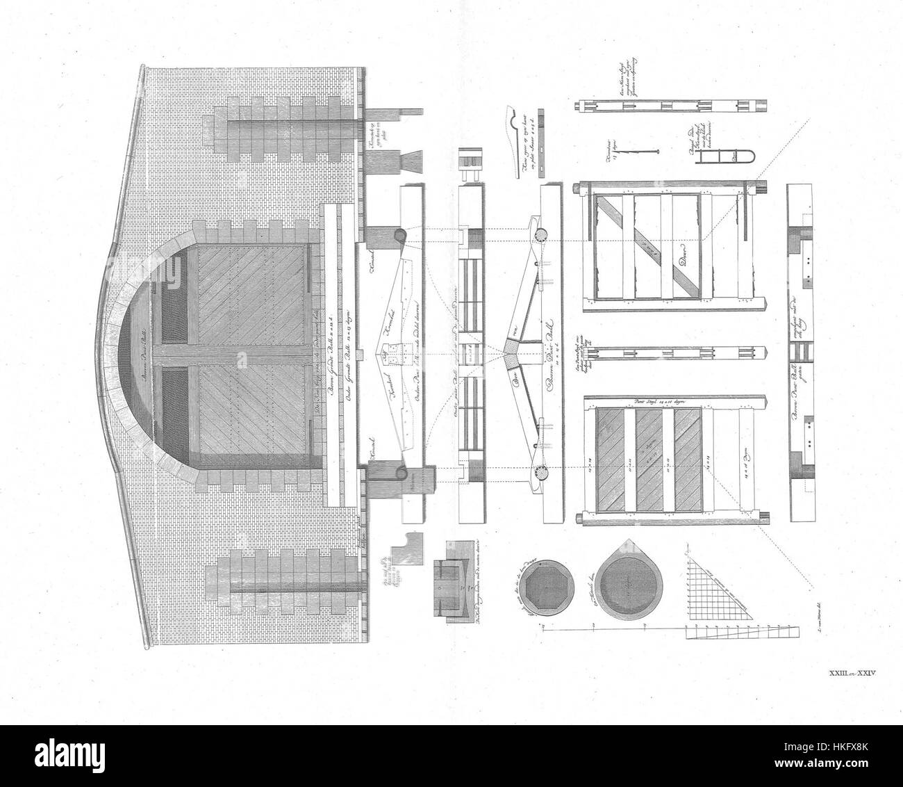 Geometric patterns in nature hi-res stock photography and images - Alamy