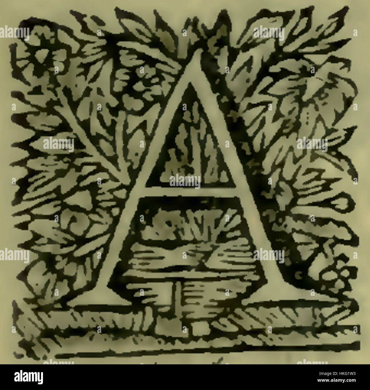 An illustration from the 1723 edition of 'MÃ©moires de Messire Philippe ...