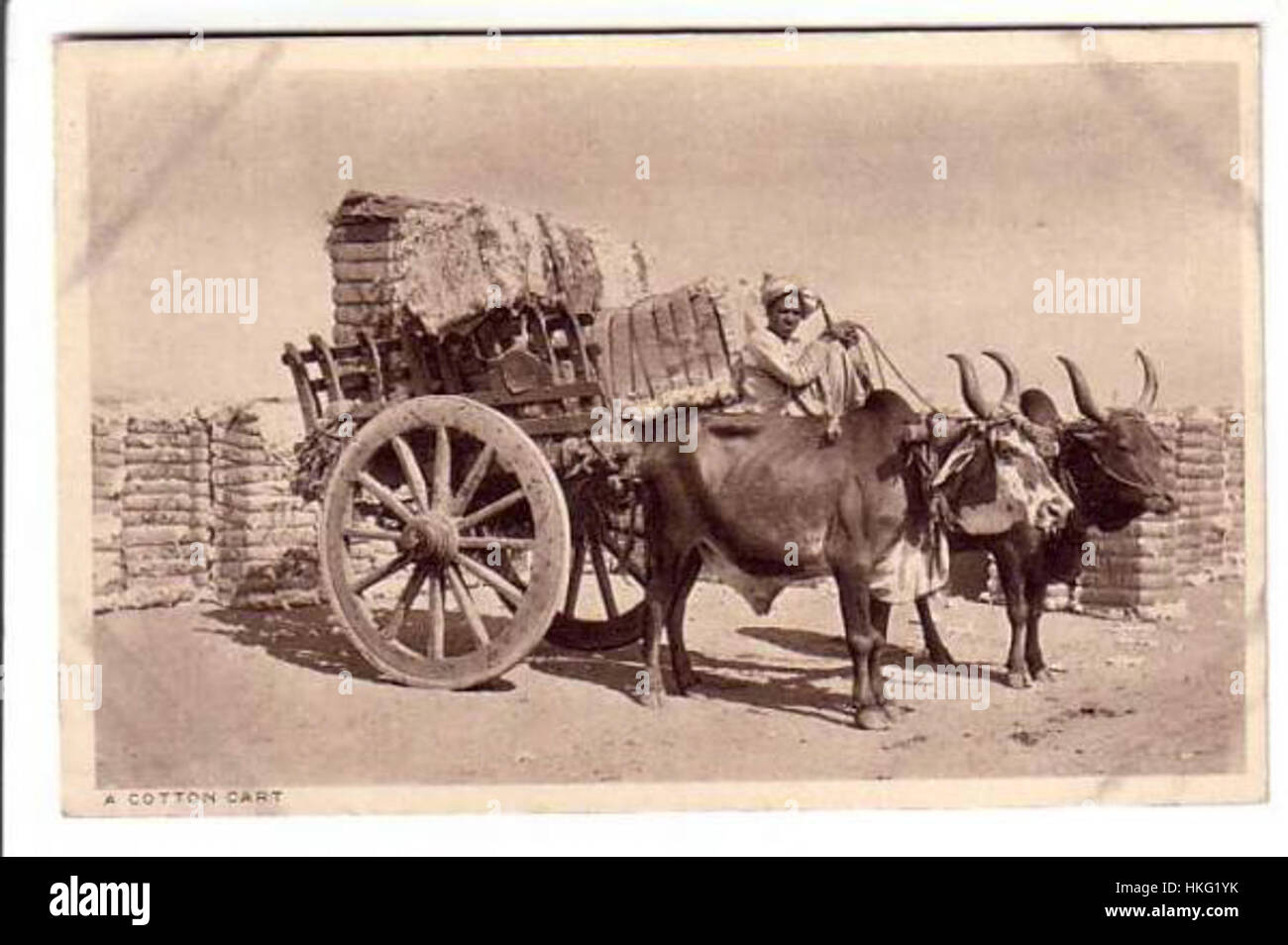 Cotton Cart High Resolution Stock Photography and Images - Alamy