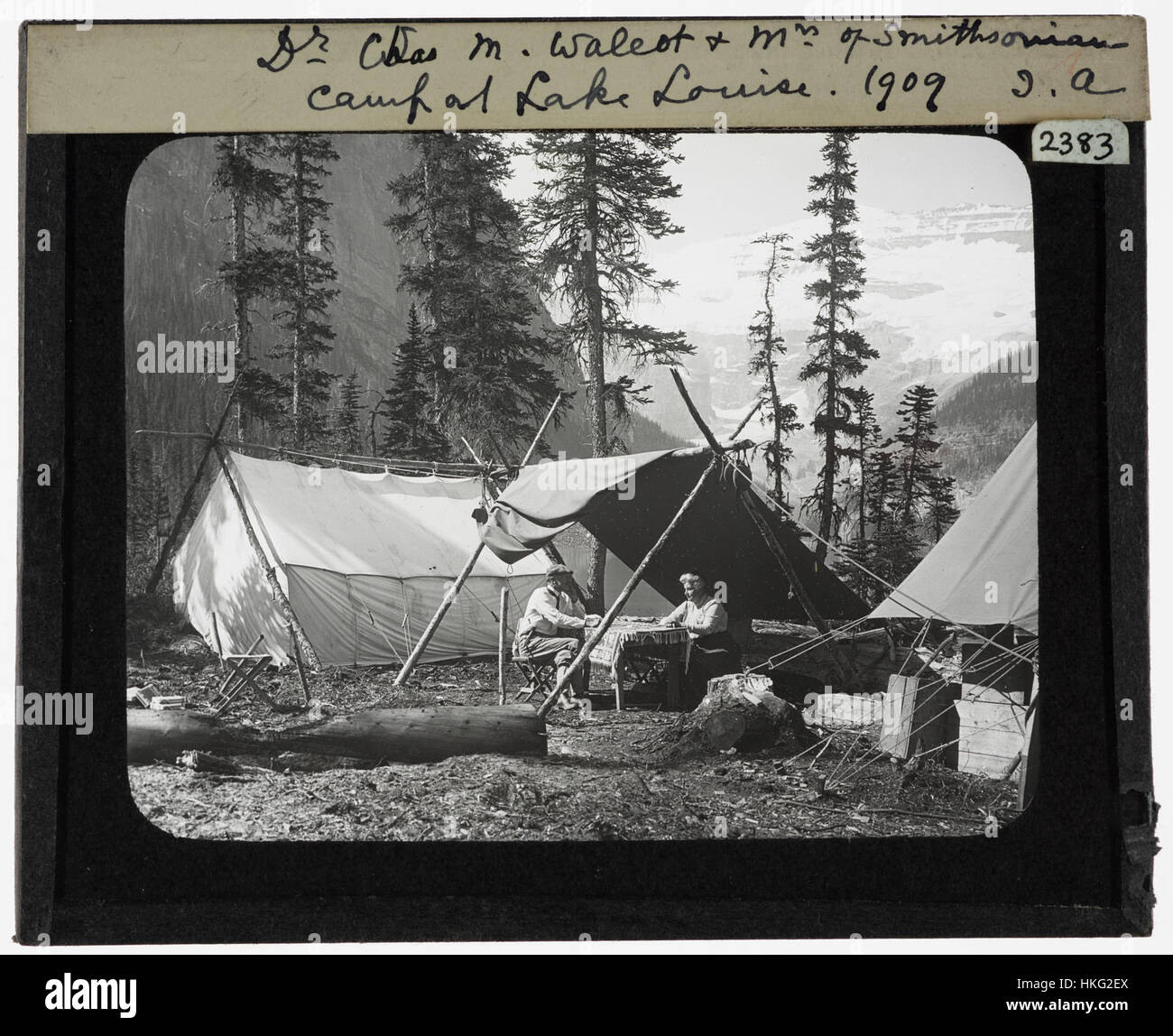 This portrait, 'Doctor Charles and Mrs. Walcott,' portrays the couple ...