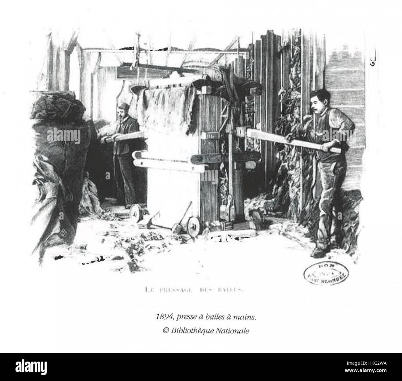 Historique Cut Out Stock Images & Pictures - Alamy