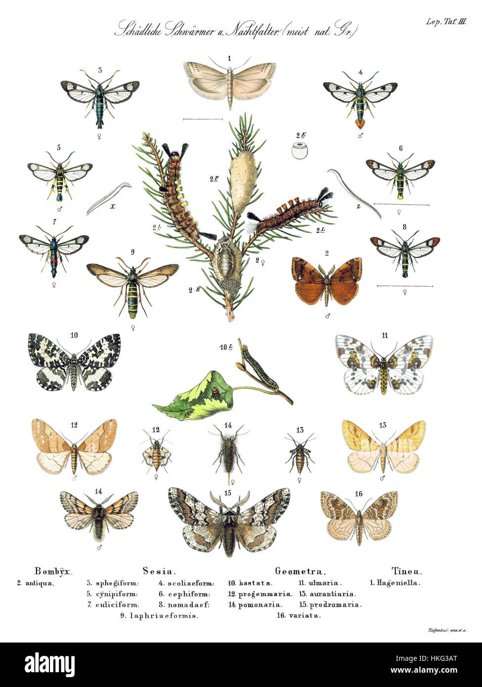 Heritage destruction Cut Out Stock Images & Pictures - Alamy